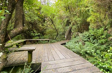 Bowen Bush Walk: Short walks in Aoraki/Mt Cook National Park