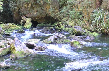 Pearse Valley Route to Pearse River Resurgence