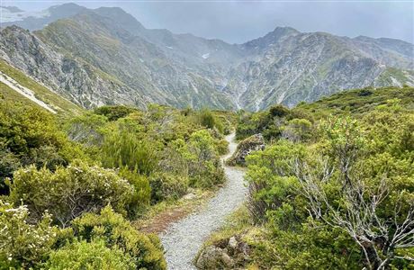 Red Tarns Track: Walking and tramping in Aoraki/Mount Cook National ...