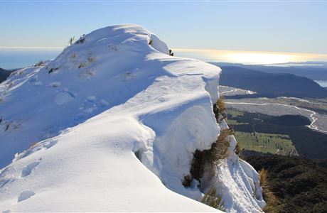 Alex Knob Track: Westland Tai Poutini National Park, West Coast region