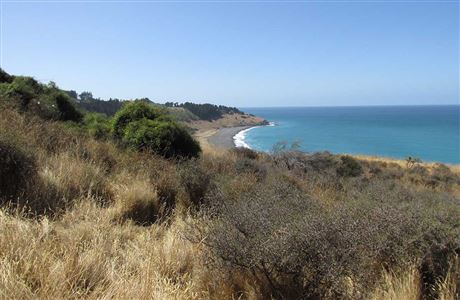 Manuka Bay Lookout Track: Things to do in Cheviot area