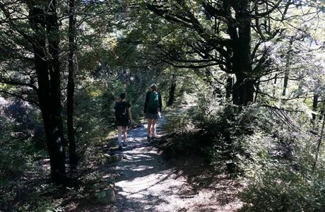 Mount Somers Track: Mount Somers area, Hakatere Conservation Park ...