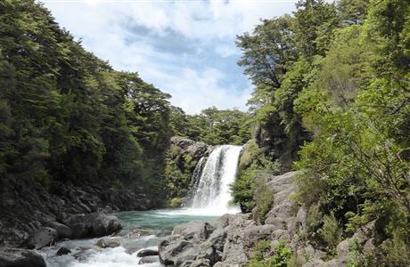 Tawhai Falls Track: Tongariro National Park, Central North Island region