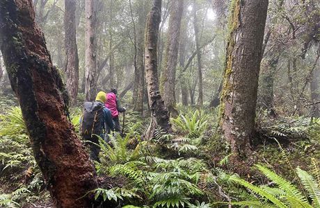 Hump Ridge Track: Fiordland National Park, Fiordland region