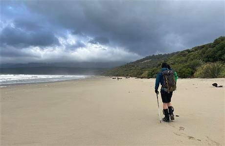 Hump Ridge Track: Fiordland National Park, Fiordland region