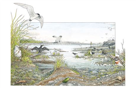 Rakitata River revival strategy consultation:
