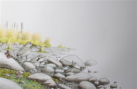Rakitata River revival strategy consultation: