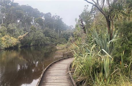 Ship Creek TTauparikākā walks: Haast, Paringa & Moeraki Rivers area ...