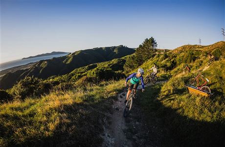 Whareroa Farm tracks