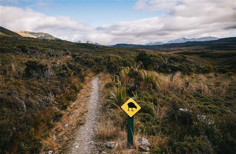 Heaphy Track: Kahurangi National Park and Karamea area