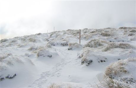 Tararua Peaks/Main Range Circuit: Tararua Forest Park, Kapiti region