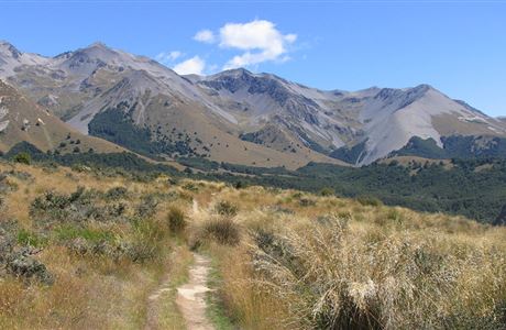 Hogs Back Track (Easy Up Track and Descent Track): Walking and tramping ...