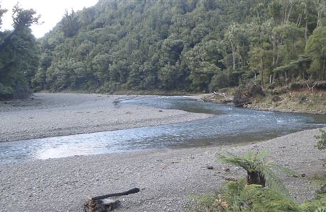 Koranga Tawa Loop Track: Waioeka Conservation Area, East Coast region