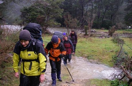 Nydia Track: Pelorus & Kenepuru Sounds area, Marlborough region