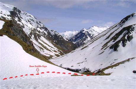 Rees-Dart Track: Mount Aspiring National Park, Otago region