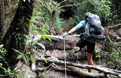 Tararua Middle Crossing: Tararua Forest Park, Kapiti region