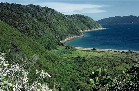 Cape Rodney-Okakari Point Marine Reserve (Goat Island or Leigh): Places ...