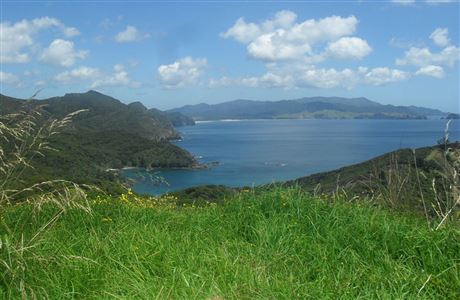 Camp host on Aotea/Great Barrier Island: Hauraki Gulf islands