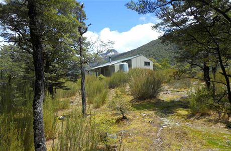 Nina Valley Track: Walking and tramping in Lake Sumner Forest Park ...