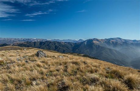 Mt Oxford Track: Oxford Forest Conservation Area, Canterbury