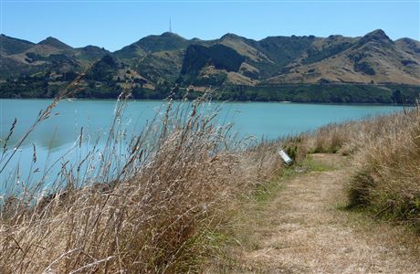 Ōtamahua/Quail Island Recreation Reserve: Places to visit in Canterbury
