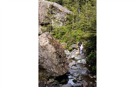 Waitonga Falls Track: Tongariro National Park, Central North Island region