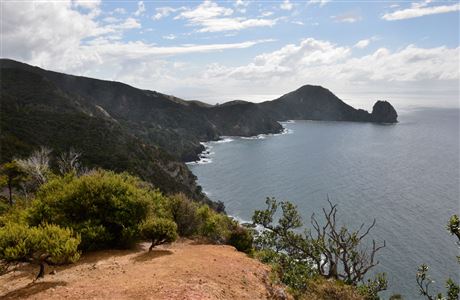 Coromandel Walkway and mountain bike track: Coromandel tracks and walks