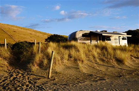 Port Jackson conservation campsite: Northern Coromandel, Coromandel region