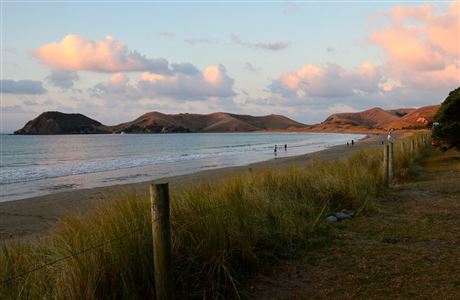 Port Jackson conservation campsite: Northern Coromandel, Coromandel region
