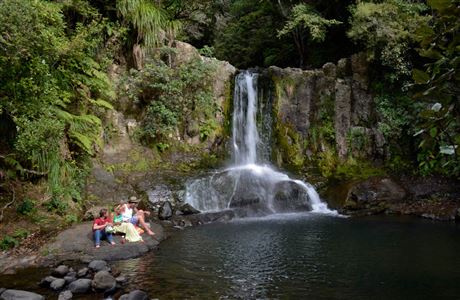 Waiau Falls and Kauri Grove Lookout Walk: Coromandel Town area ...