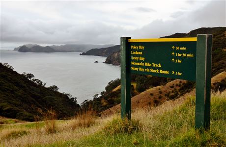 Coromandel Walkway and mountain bike track: Coromandel tracks and walks
