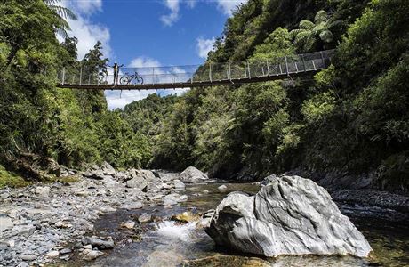 Pakihi Track: Urutawa Conservation Area, East Coast region