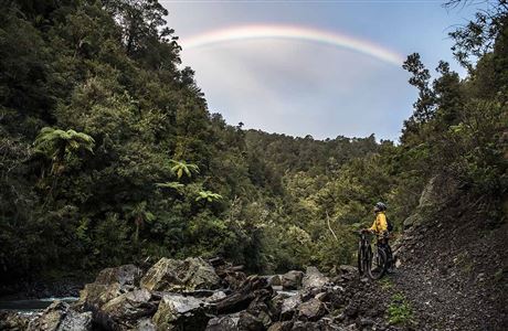 Pakihi Track: Urutawa Conservation Area, East Coast region