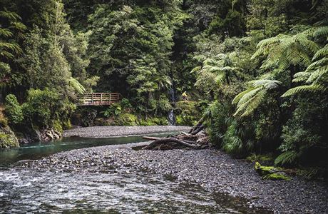 Pakihi Track: Urutawa Conservation Area, East Coast region