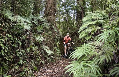 Pakihi Track: Urutawa Conservation Area, East Coast region