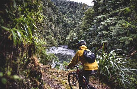 Pakihi Track: Urutawa Conservation Area, East Coast region
