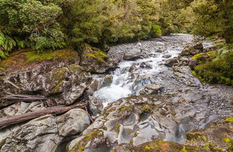 The Chasm Walk: Fiordland National Park, Fiordland region