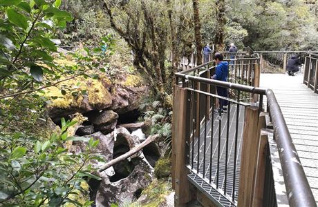 The Chasm Walk: Fiordland National Park, Fiordland region