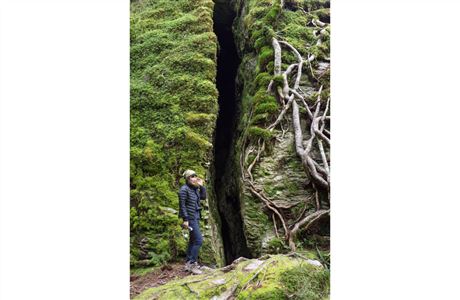 Routeburn Track: Fiordland National Park