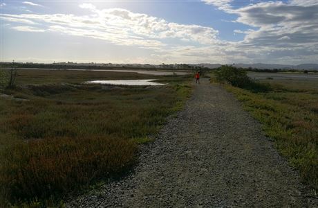 Ahuriri Estuary Walking Track: Napier area, Hawke's Bay region