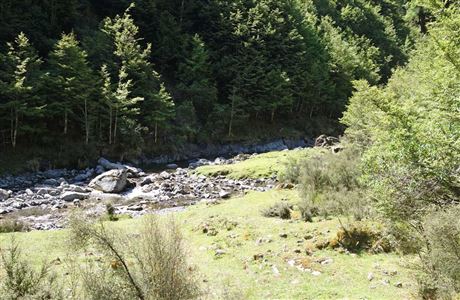 Triangle Hut: Ruahine Forest Park, Manawatu region