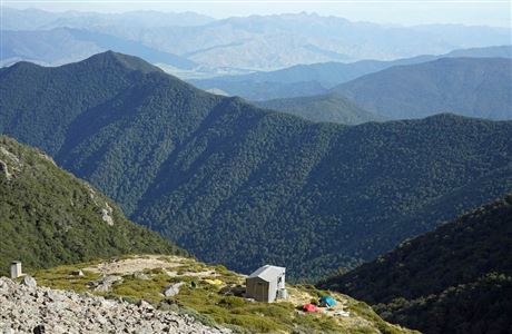 Mt Fishtail Route: Mount Richmond Forest Park, Marlborough region