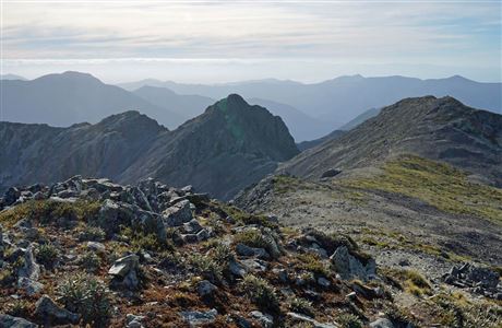Mt Fishtail Route: Mount Richmond Forest Park, Marlborough region