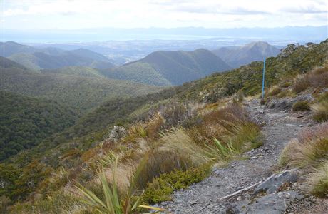 Mt Arthur Hut: Kahurangi National Park, Nelson/Tasman