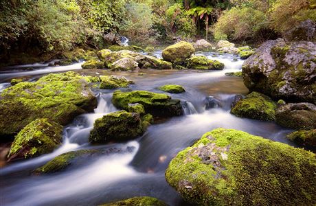 Riuwaka Resurgence: Kahurangi National Park, Nelson/Tasman region