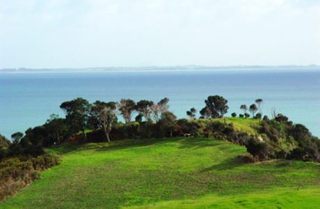 Taumarumaru Scenic Reserve: Historic conservation in the Kaitaia area