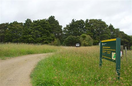 Taheke Waterfall Track: Whangarei area, Northland