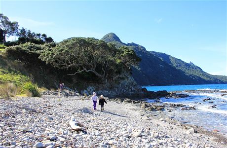 Smugglers Bay Loop Track: Bream Head Scenic Reserve, Whangarei Heads ...