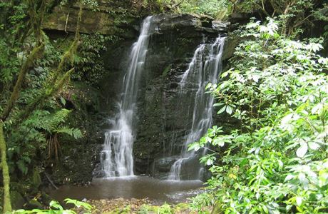 Matai Falls Walk: Catlins coastal area, Otago region
