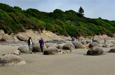 Moeraki Boulders/Kaihinaki Walk: Moeraki area, Otago region
